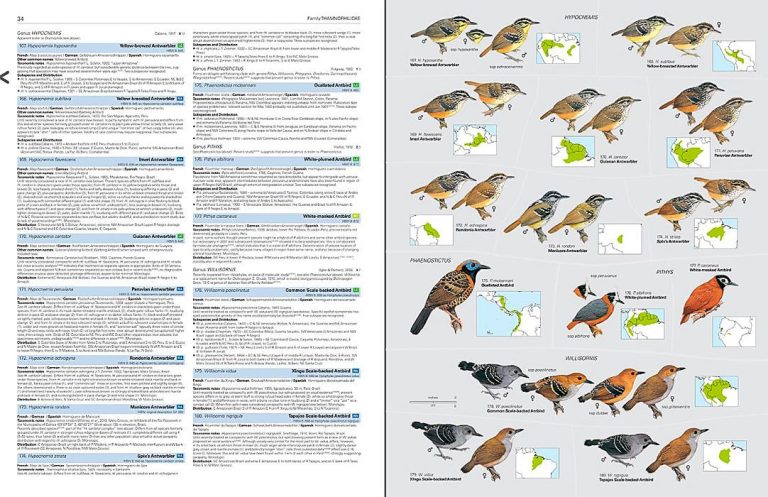 Birds of the world- illustrated checklist Volume 2 - Passerines