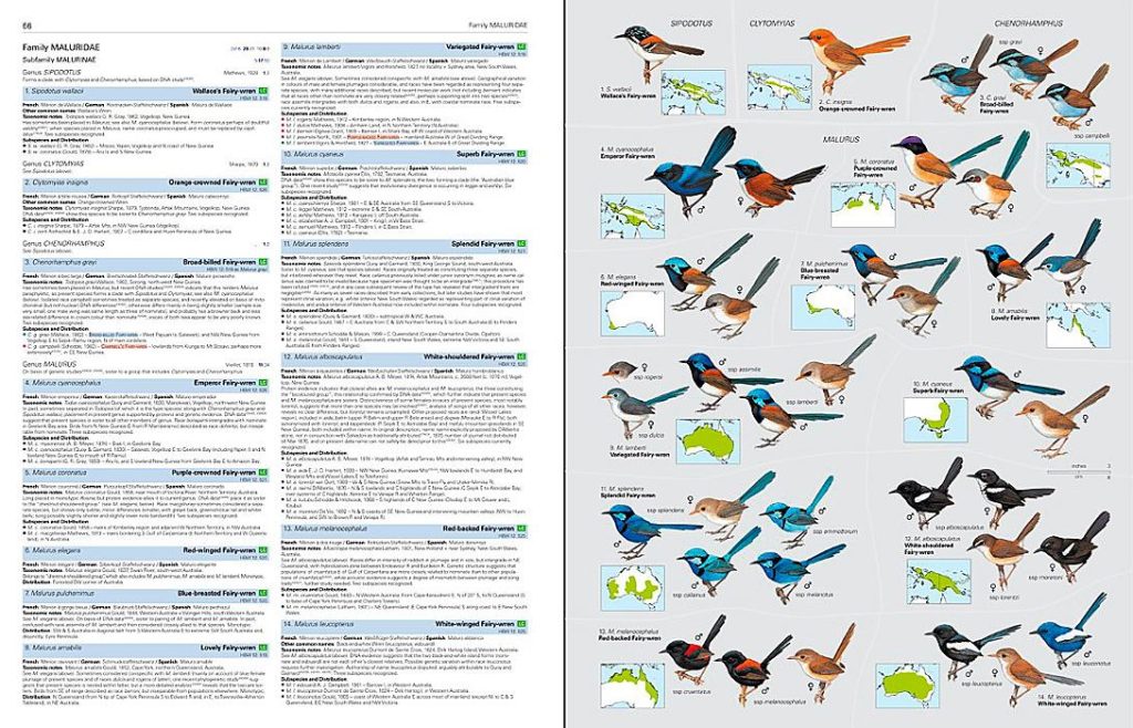 Birds of the world- illustrated checklist Volume 2 - Passerines