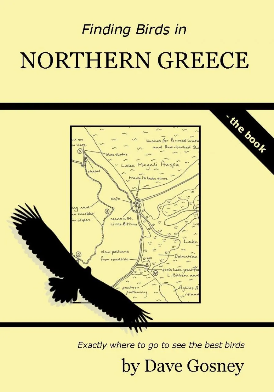 Finding Birds in Northern Greece | Rejseguide - Naturbutikken