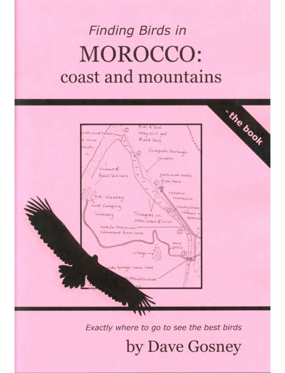 Finding Birds in Morocco: Coast and Mountains // Rejseguide - Naturbutikken