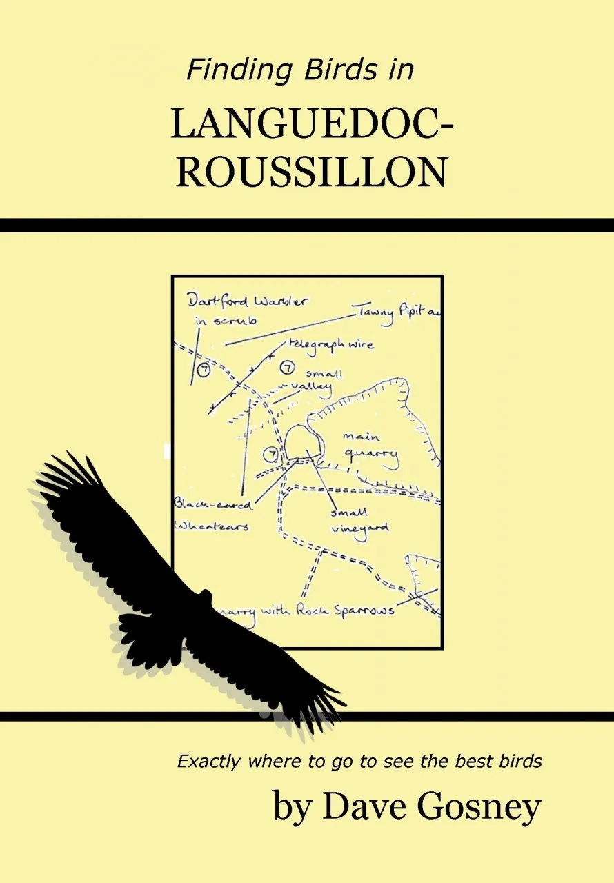 Finding Birds in Languedoc-Roussillon | Rejseguide - Naturbutikken