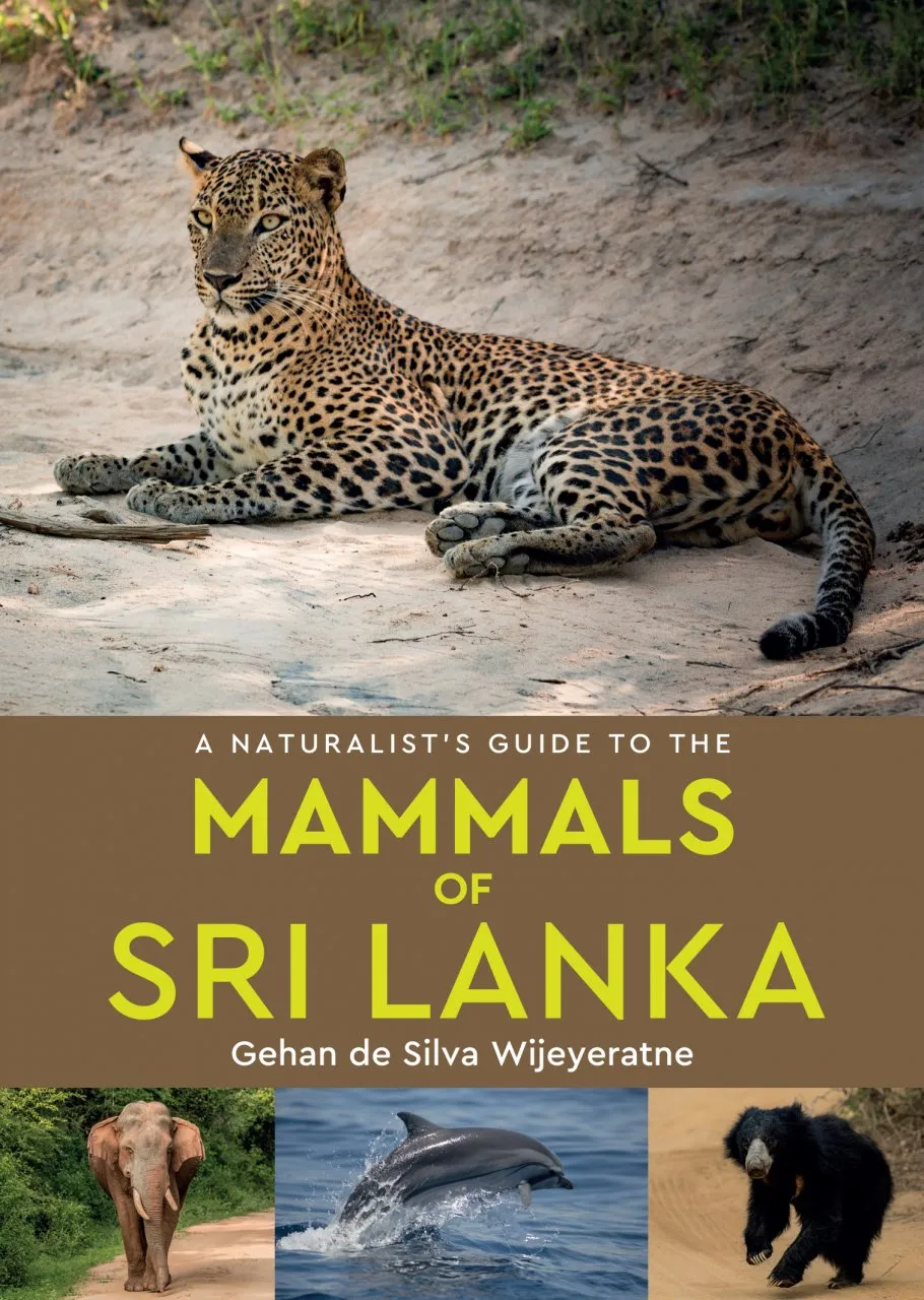A Naturalist's Guide to the Mammals of Sri Lanka | Bog - Naturbutikken