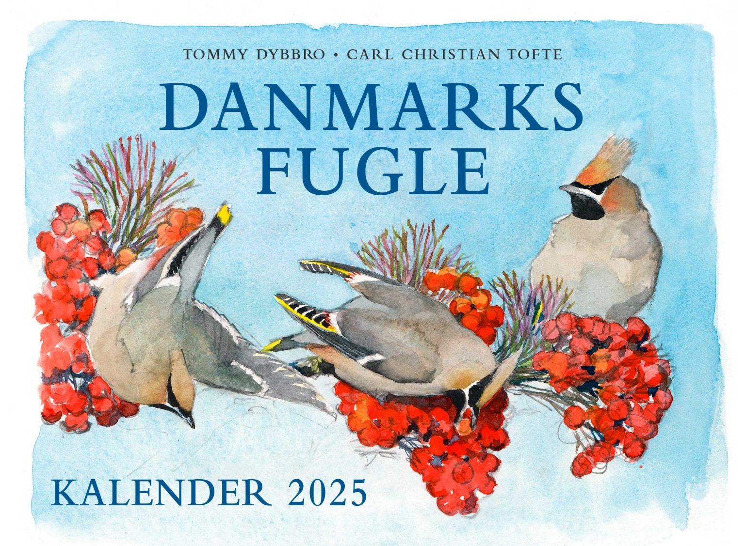 Danmarks Fugle 2025 - Bordkalender - Naturbutikken